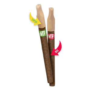 Cigarilosi WTF Lit-Shisharillos 5 kom | Cigar Shop i Oprema
